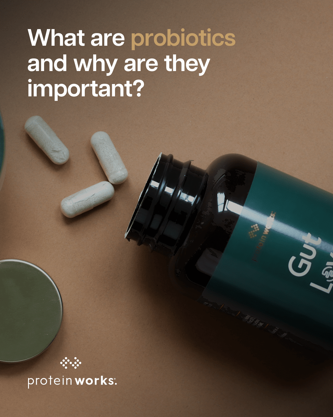 What are Probiotics and Why are They Important? | Protein Works